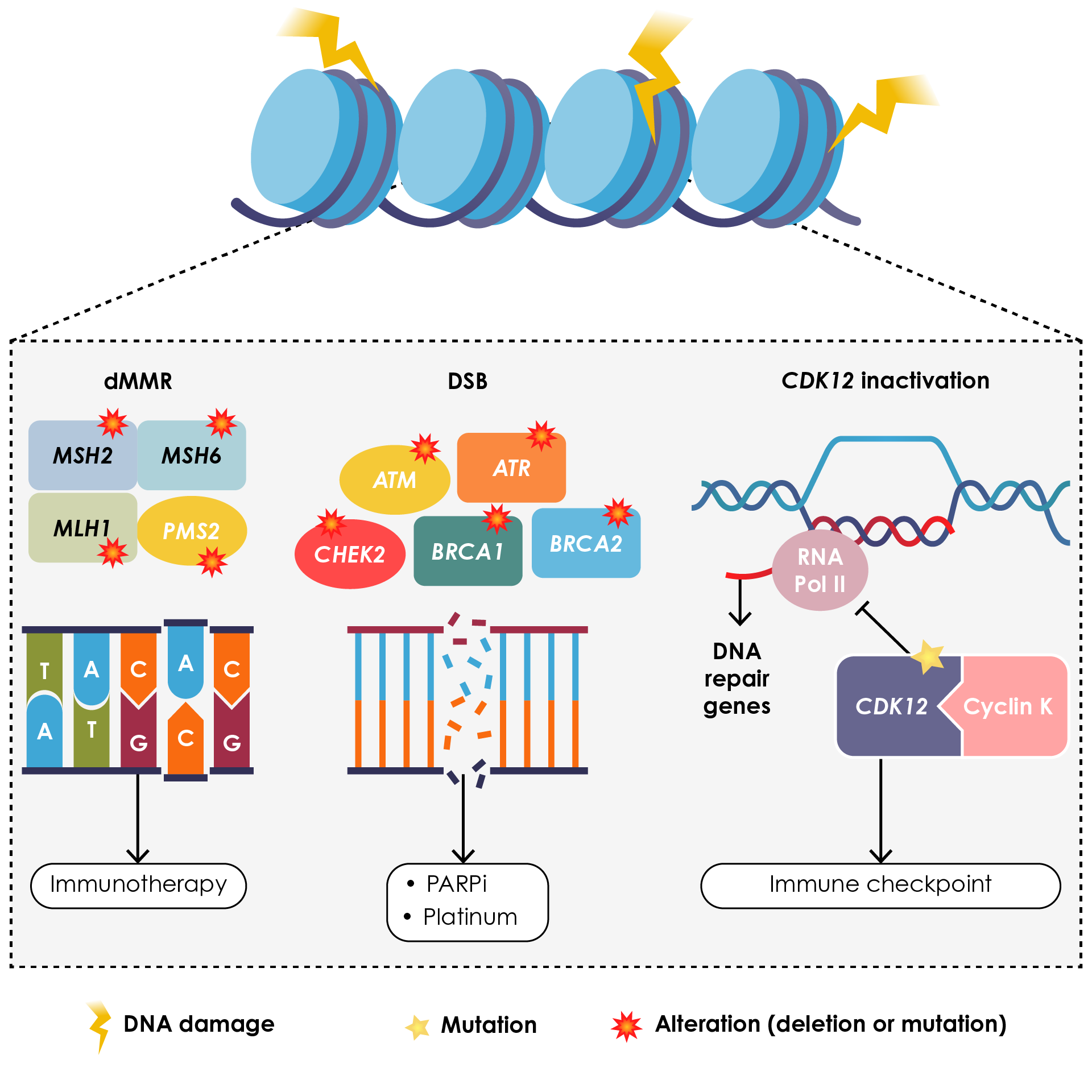 mCRPC: challenges and treatments – metastatic castration-resistant ...