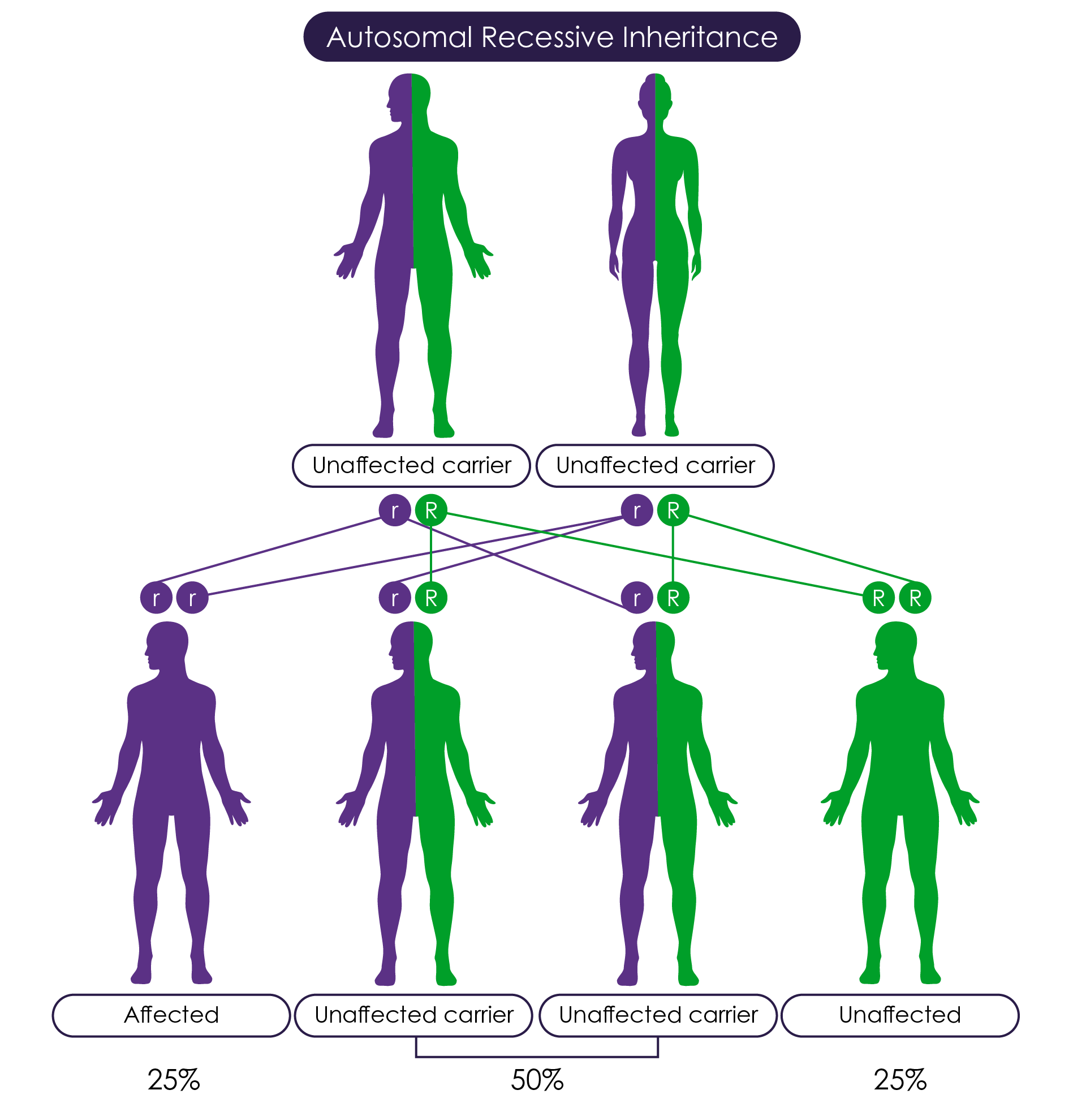 Congress highlights | Pompe Disease: Key findings from WMS 2022 ...
