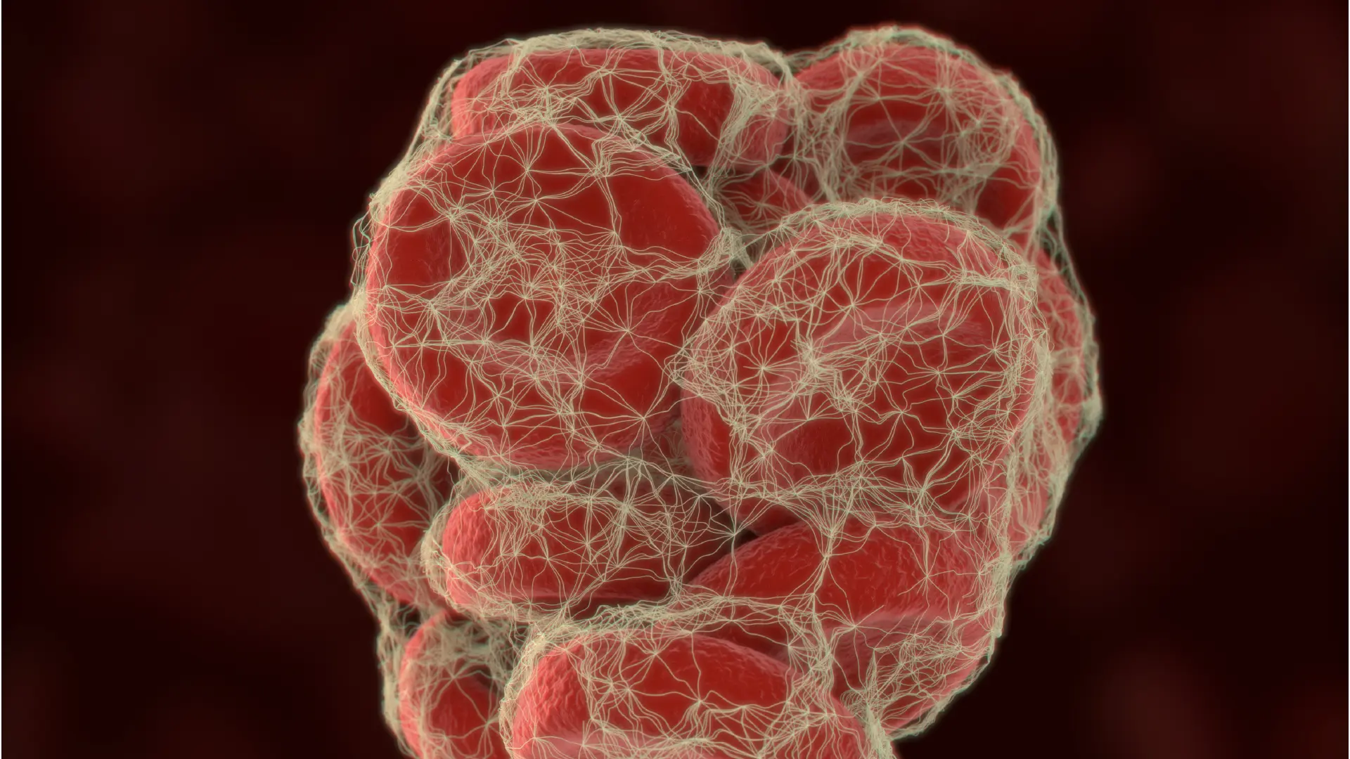 Fibrinogen Deficiency in Bleeding – Medthority