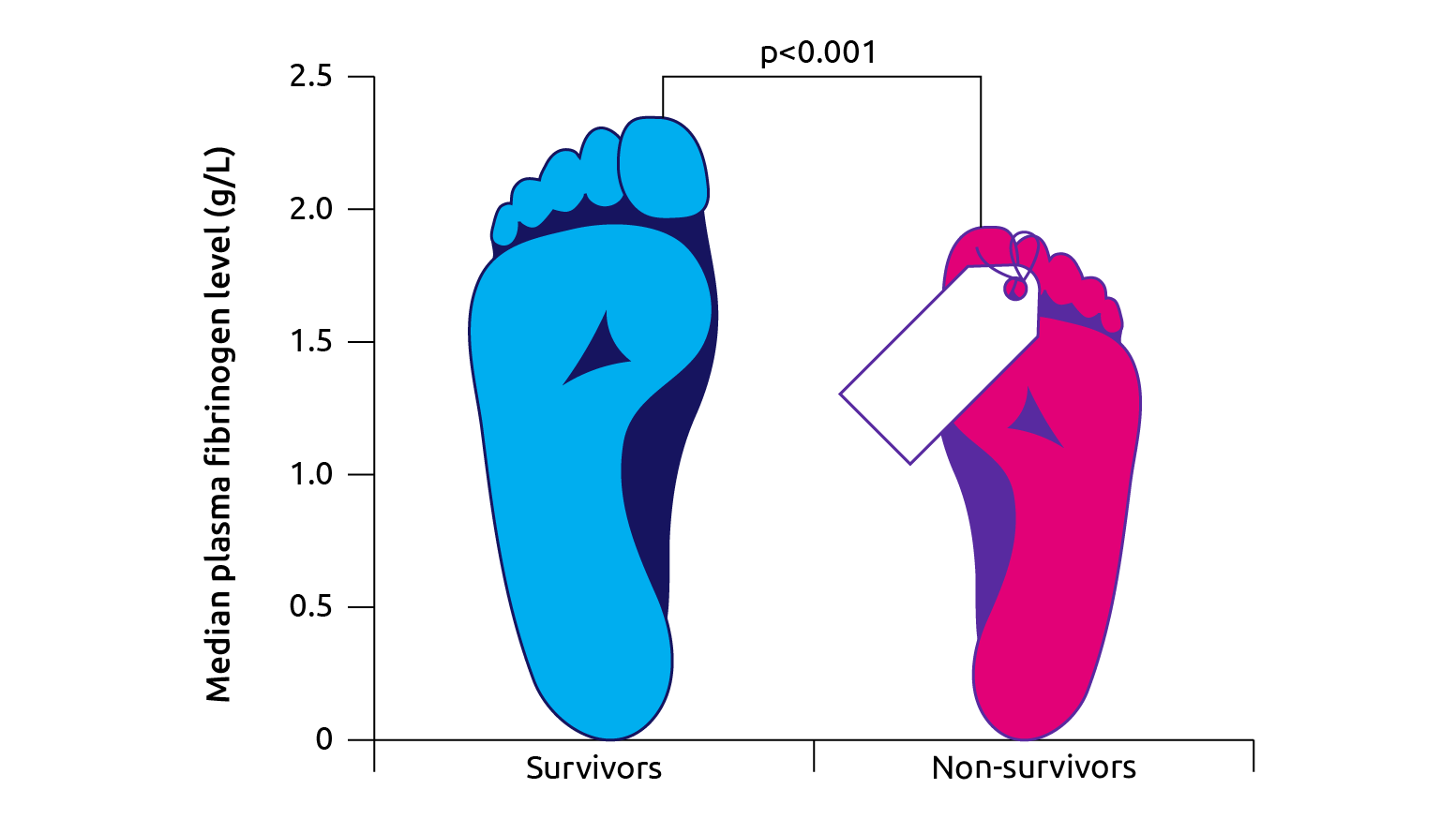 Fibrinogen Deficiency | Medthority.com