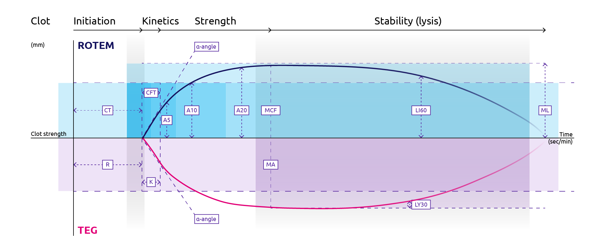 Diagnostics | Fibrinogen Deficiency | Medthority.com