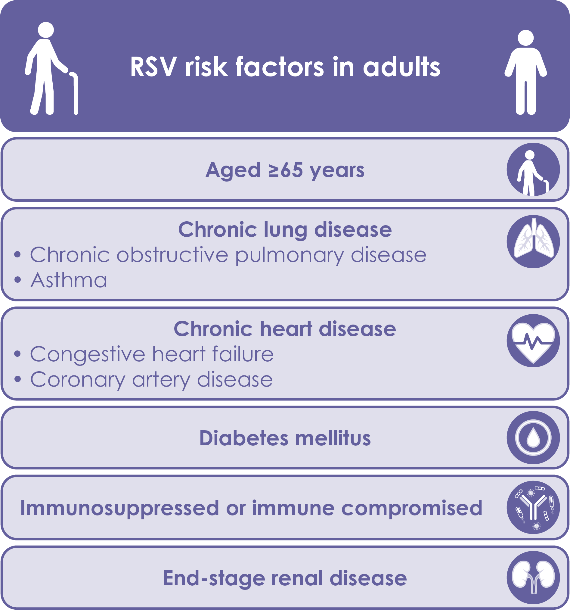 RSV Burden Respiratory Syncytial Virus In Adults Medthority