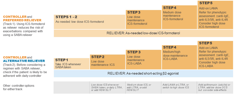 Inhaled management of Asthma | Respiratory Care | Medthority.com