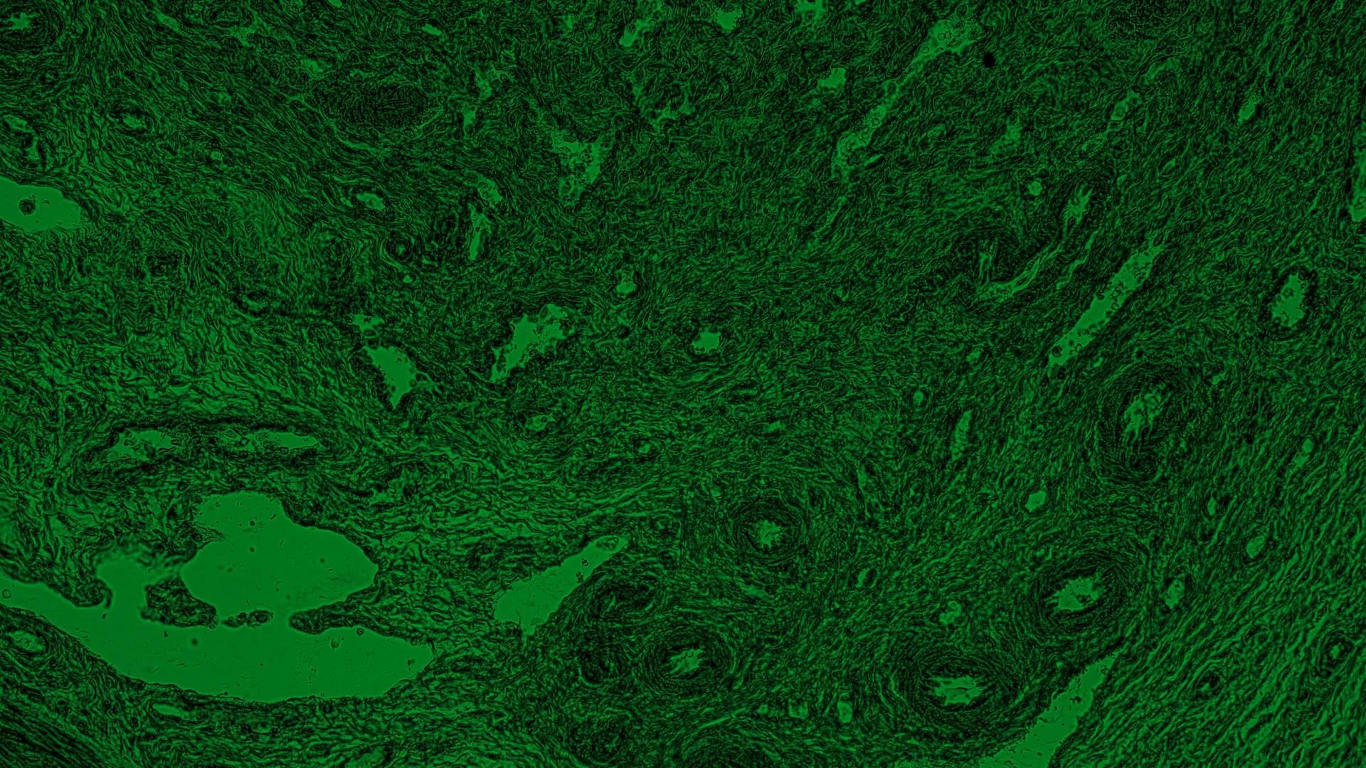 Contact us - Medthority Connect