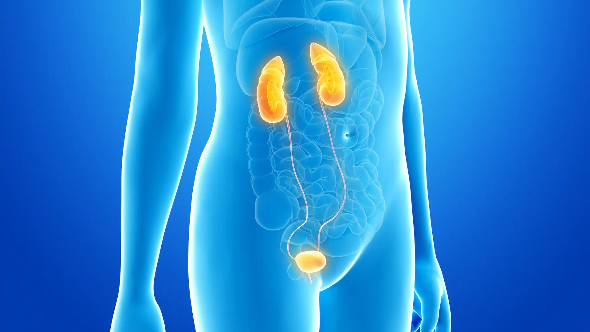 Cystinosis - Independent resources - Medthority