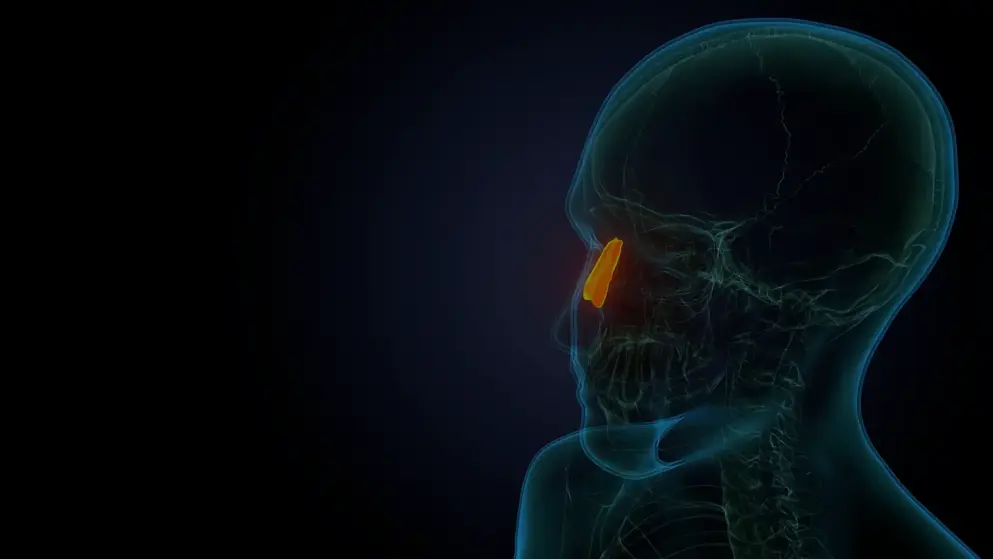 Nasal Polyposis: Symptoms, Causes, and Treatment Options - Medthority