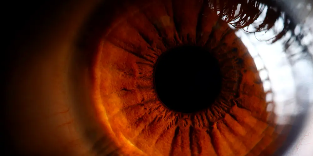 Opthalmology Hub - Medthority